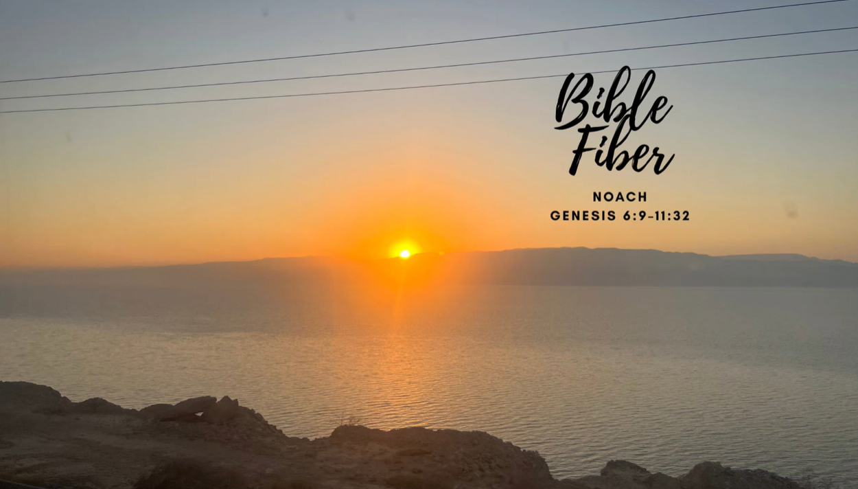 Noach (Genesis 6:9–11:32) - Shelley Neese